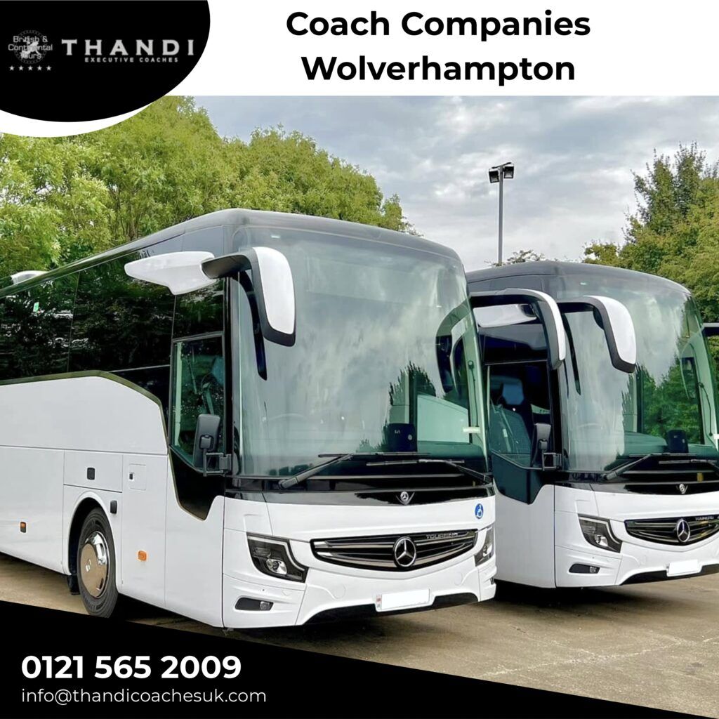 Thandi Executive Coaches - Thandi Executive Coaches