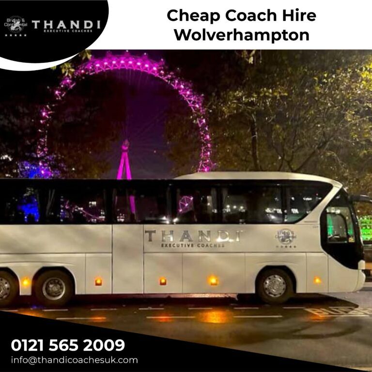 Thandi Executive Coaches - Thandi Executive Coaches